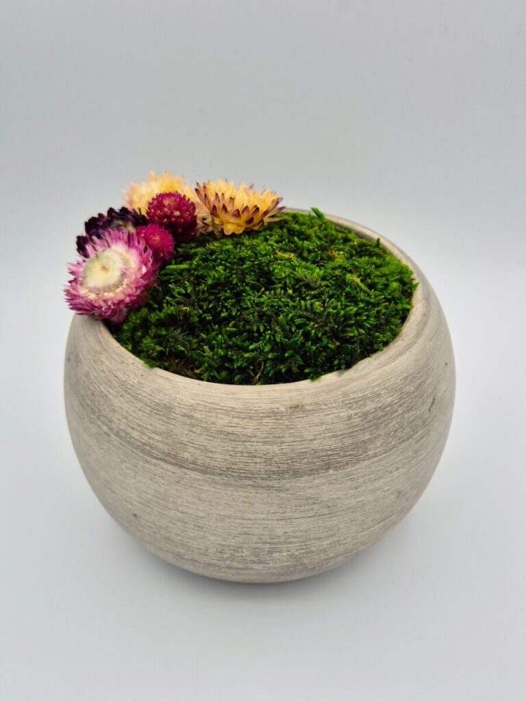 Symbol jara - mechule.cz